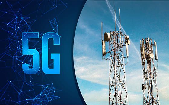 Networking Power – Tiger Power