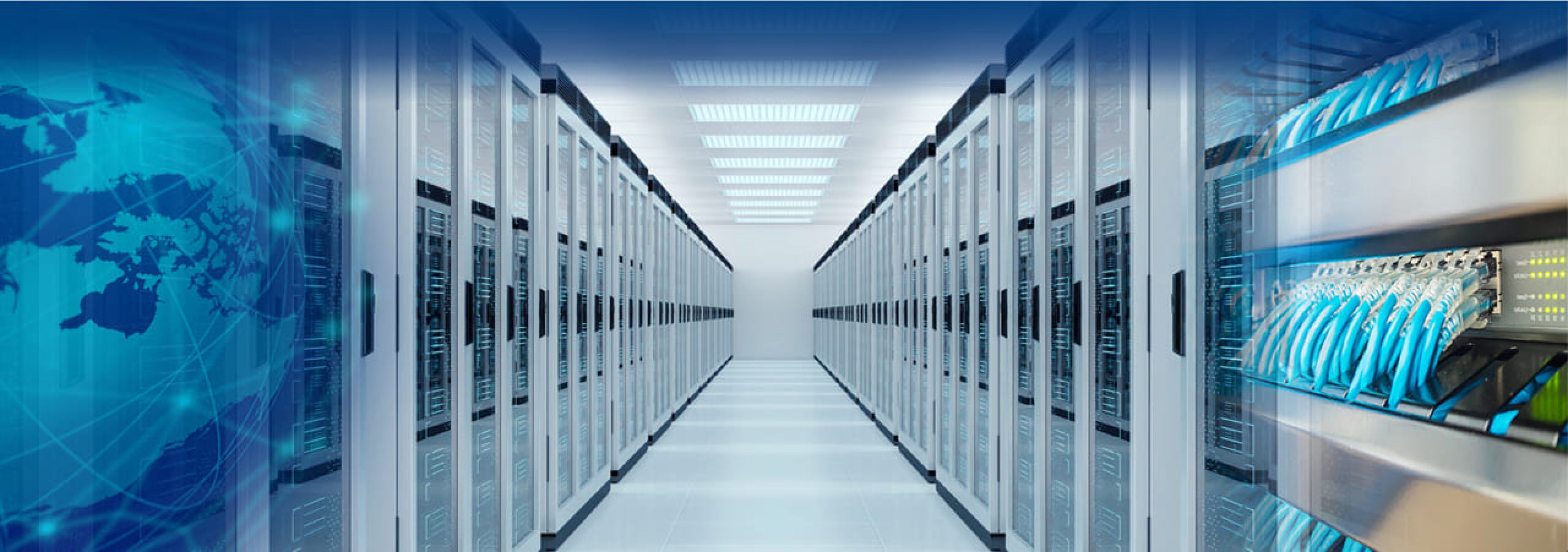 Networking Power – Tiger Power